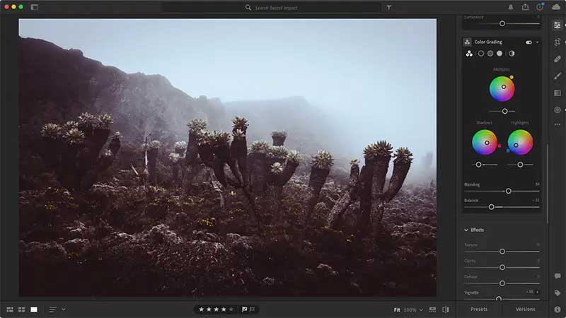 Adobe MAX 2020: Neural Filter di Photoshop, Illustrator Di iPad, dan ...