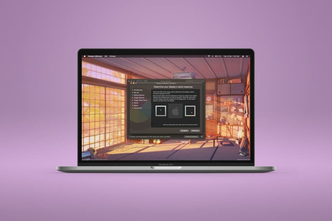 Cara Kalibrasi Layar MacBook Dengan ‘Display Calibrator Assistant ...